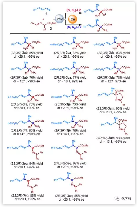 资伟伟课题组JACS：Pd和Cu协同催化的1，3-二烯与醛亚胺酯的立体多样性偶联-元素有机化学全国重点实验室